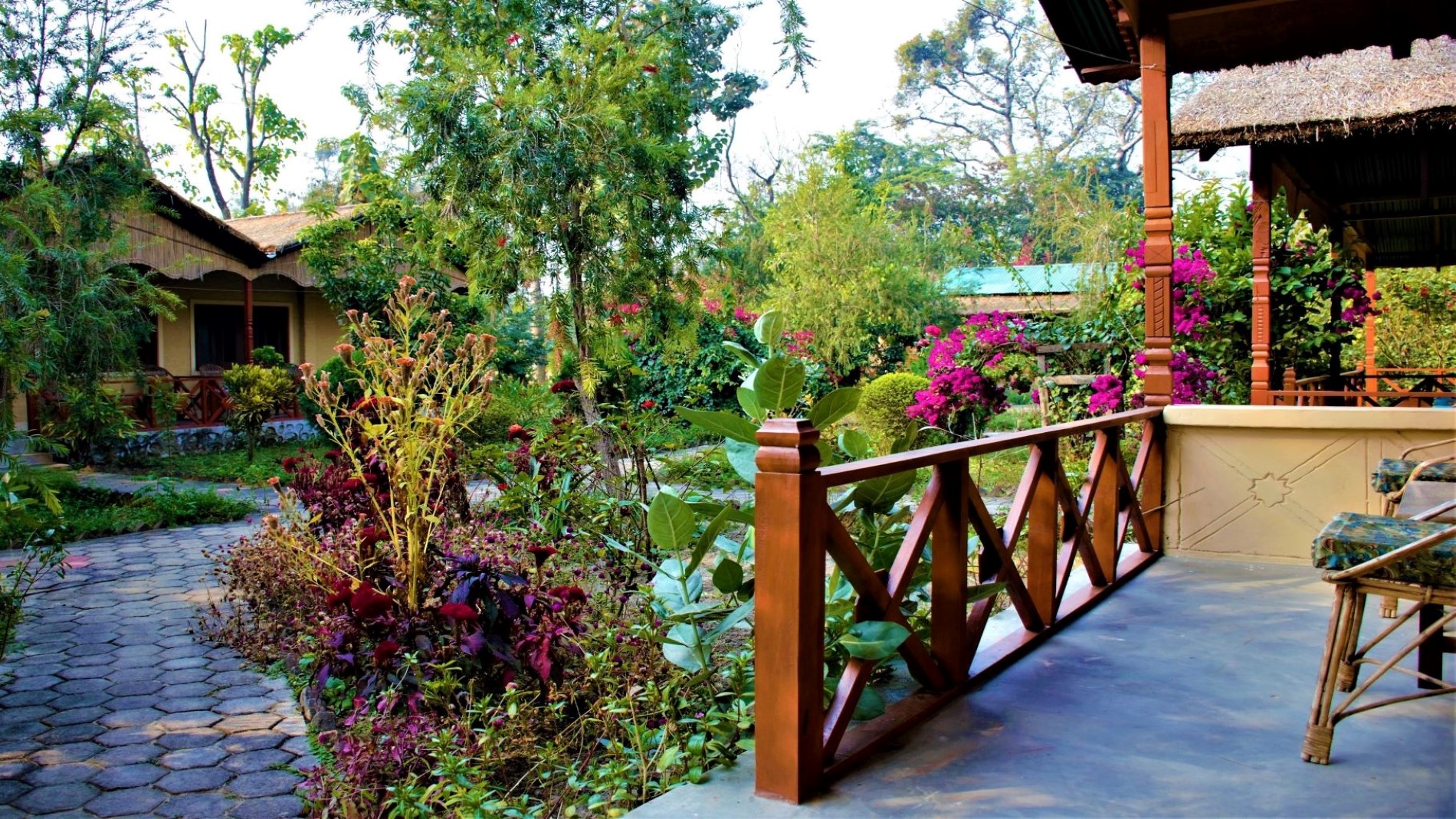 samsara safari camp | Nepal Bird Guide